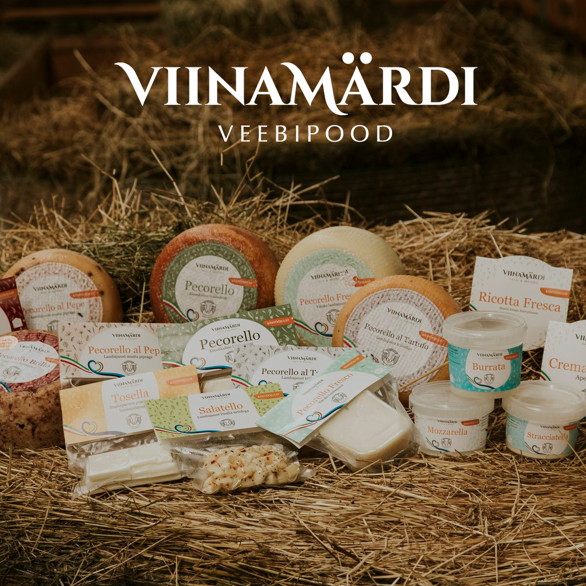 e-pood – Viinamarditalu